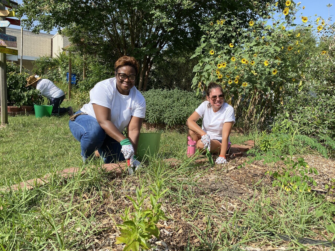 Education - Urban Harvest